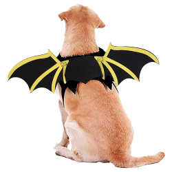 Disfraz de Murciélago para Perros Halloween - Placasperros.es